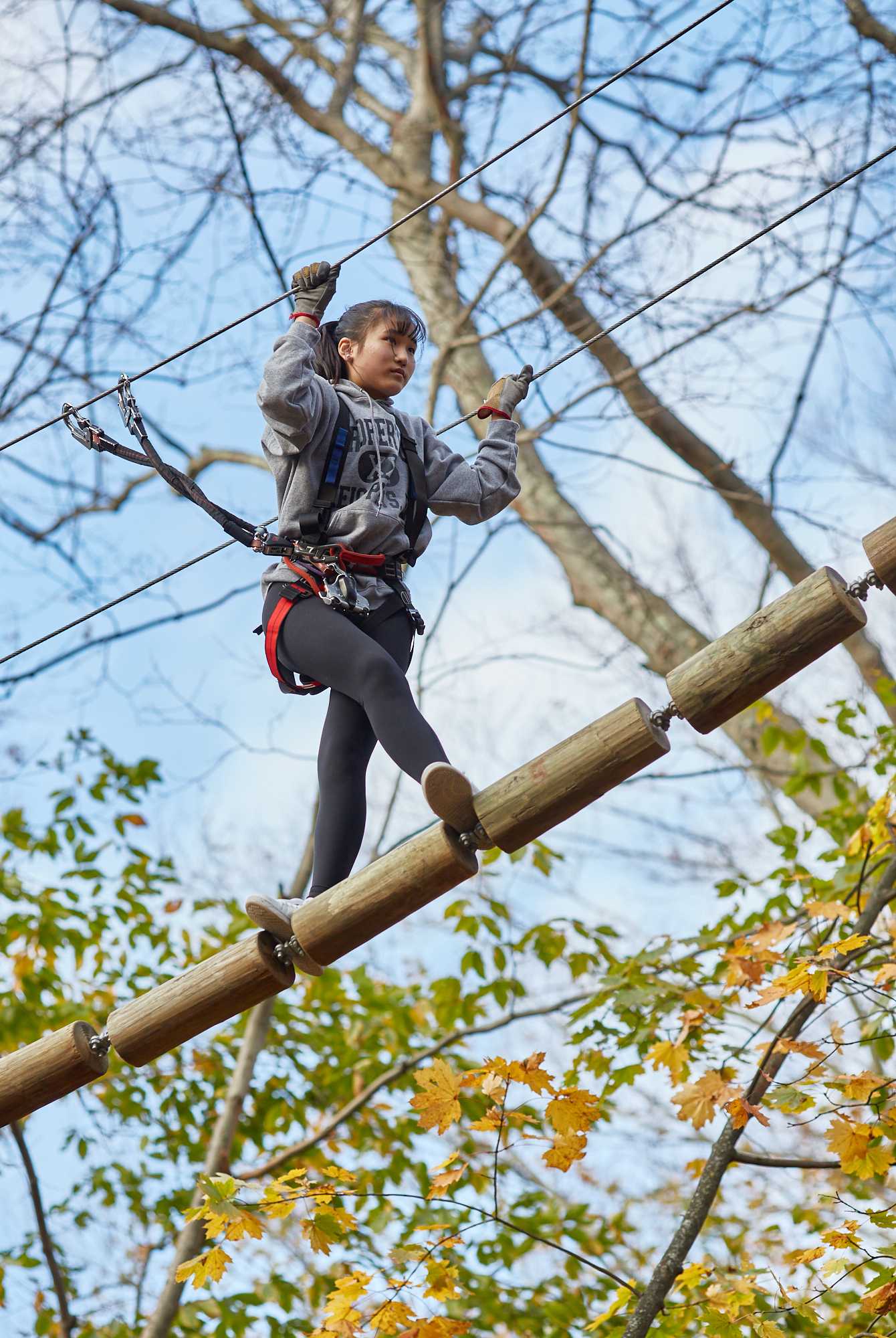 Zipline & Aerial Adventure Park - Boundless Adventures